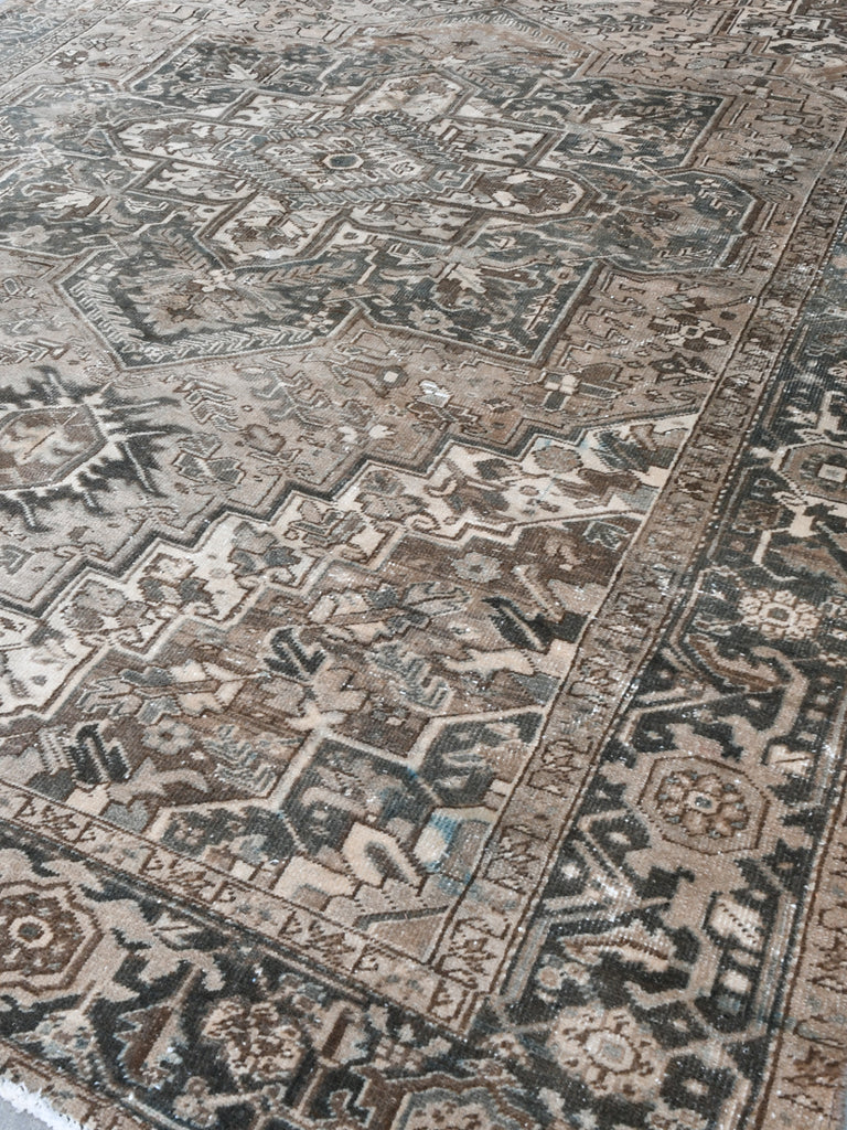 Sandy (9x12)– Passerine