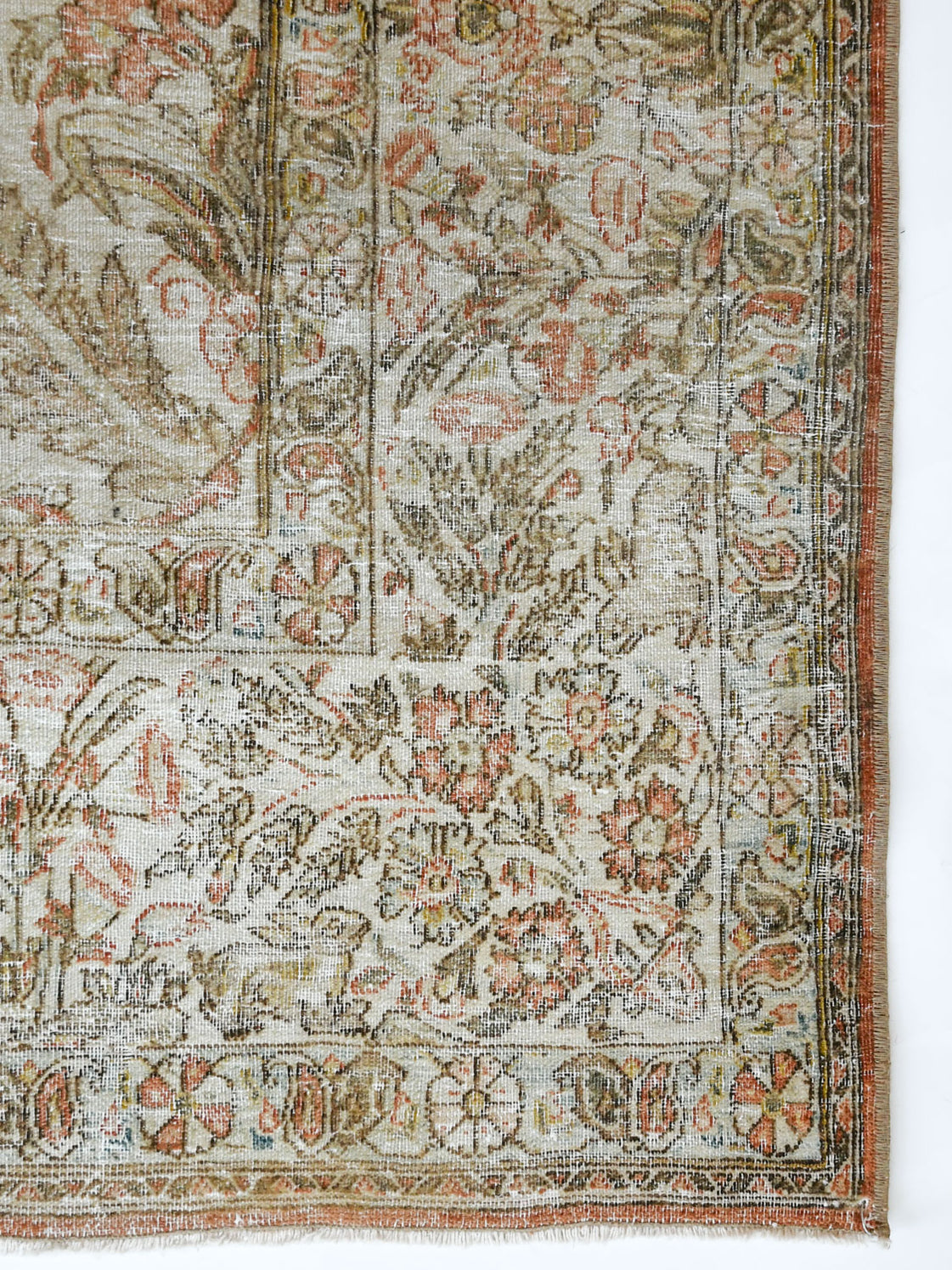 Eden (7x11)– Passerine