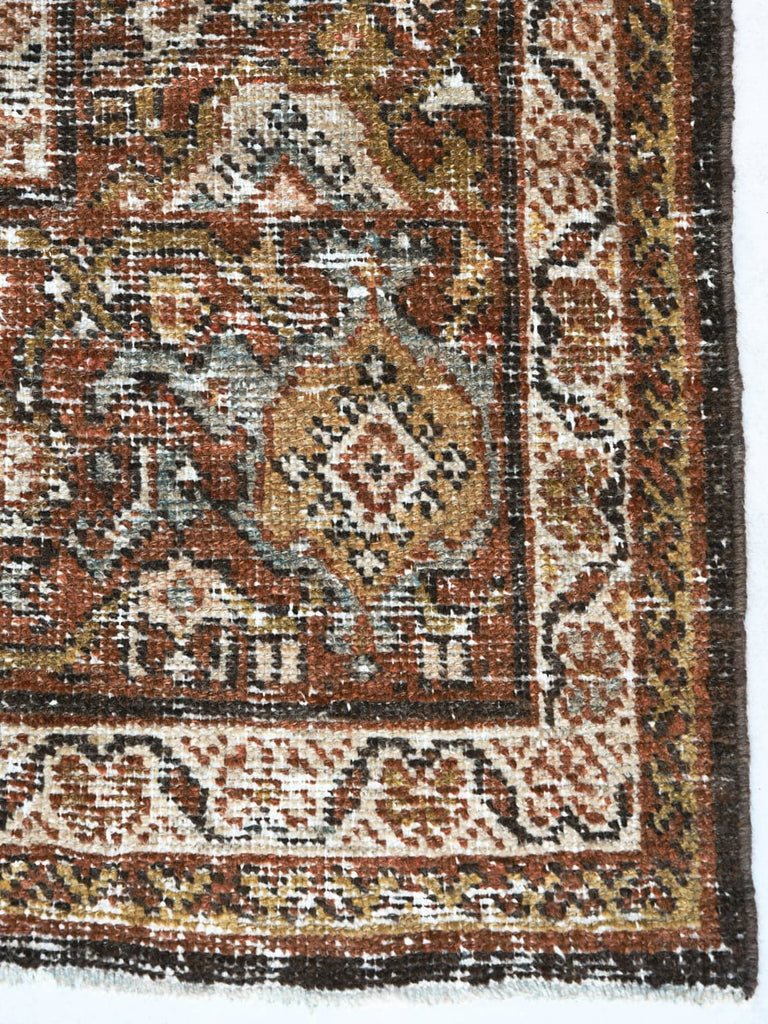 Robin (8x12)– Passerine