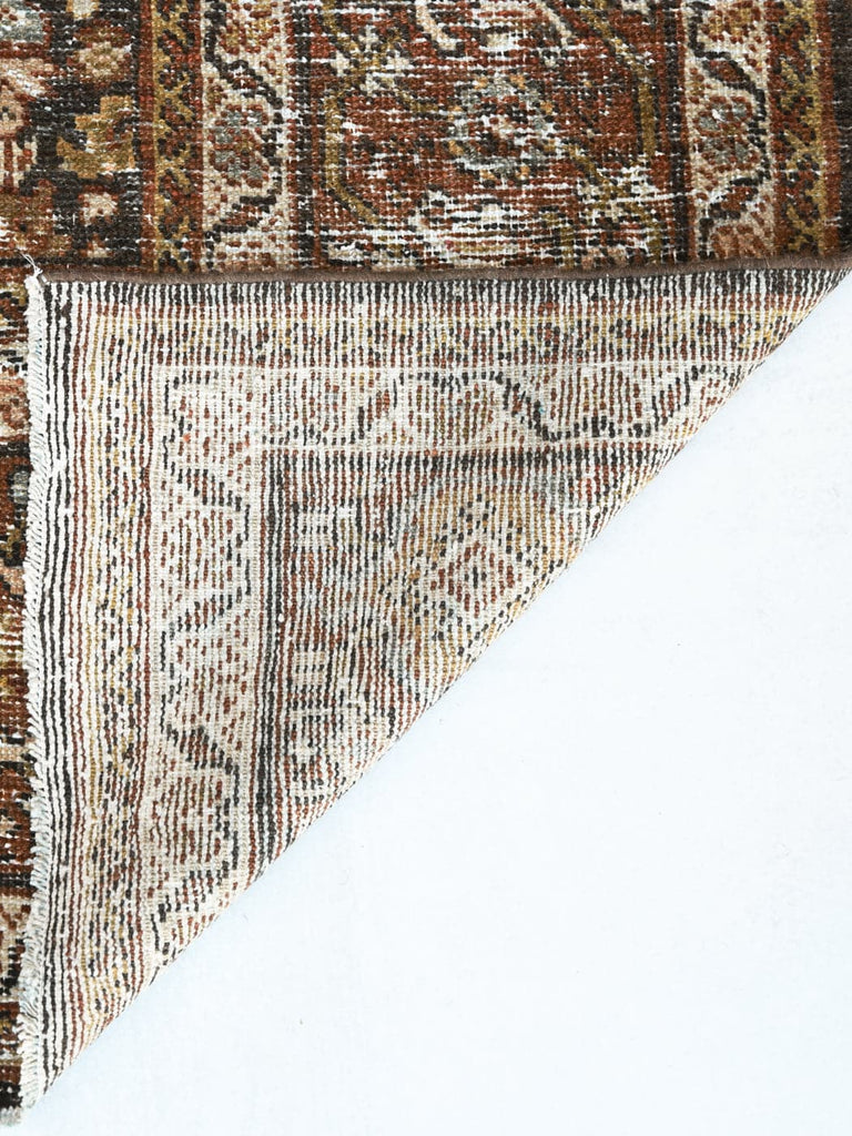 Robin (8x12)– Passerine