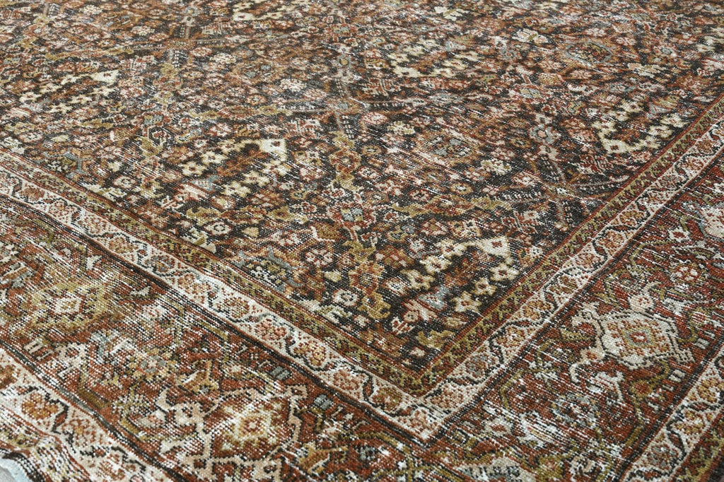 Robin (8x12)– Passerine