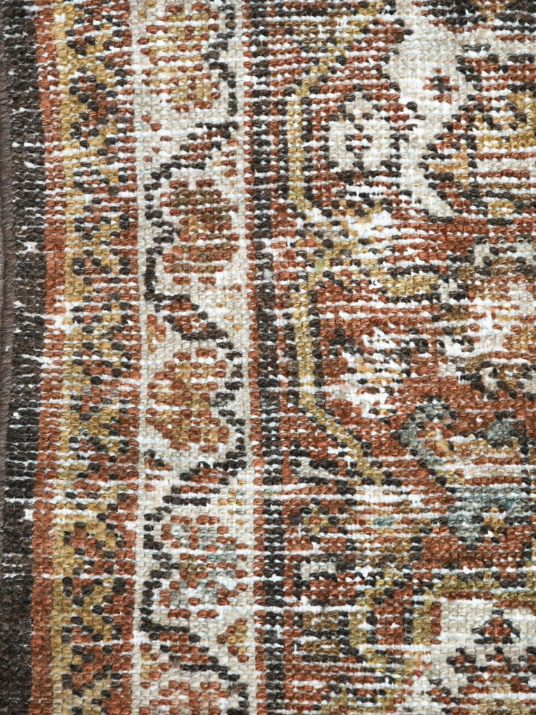 Robin (8x12)– Passerine