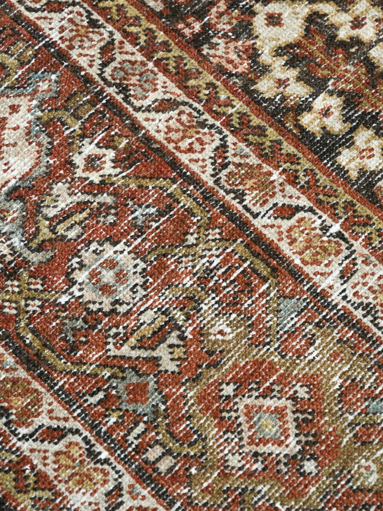 Robin (8x12)– Passerine