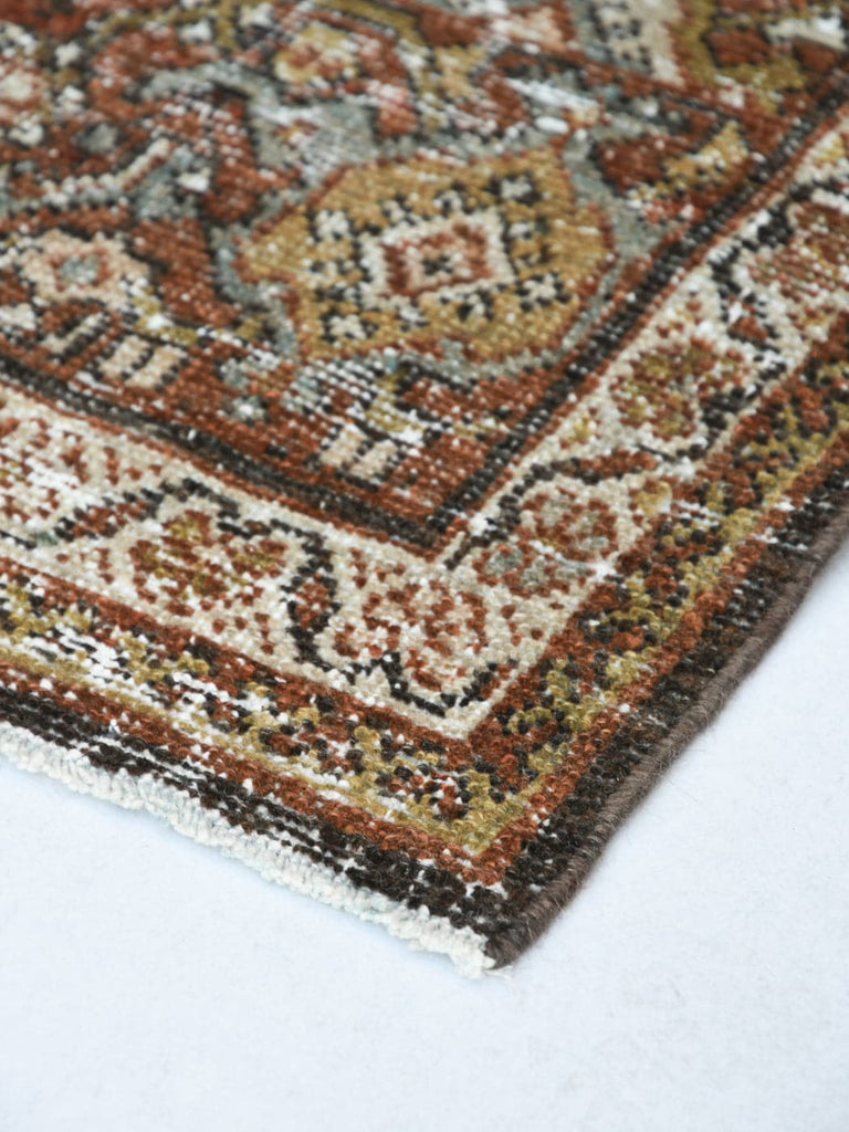 Robin (8x12)– Passerine