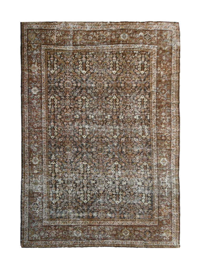 Robin (8x12)– Passerine